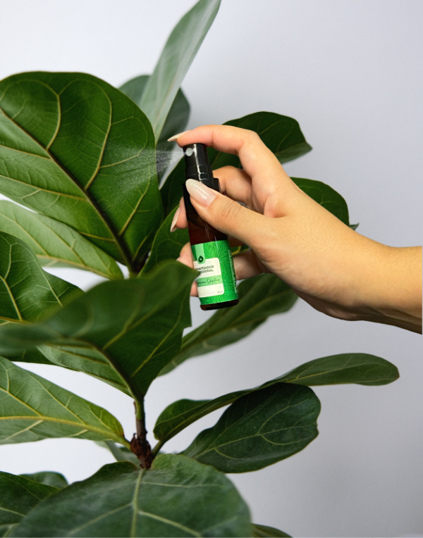 Olyra – Marketing Olfativo – Olyra